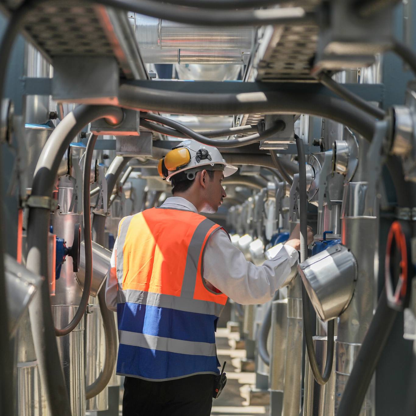 Short Course Route - Online MSc Safety and Reliability Engineering