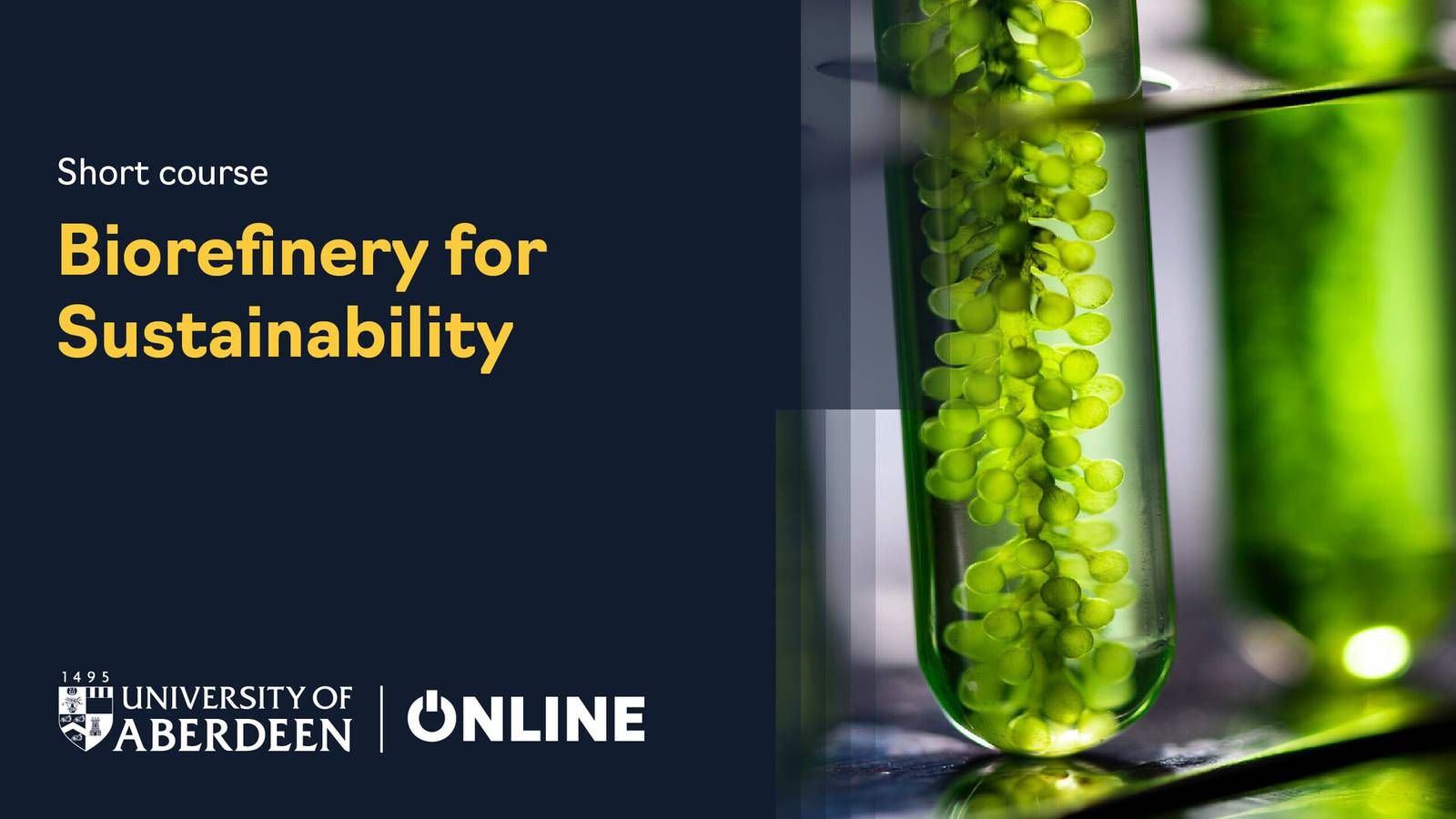 Biorefinery for Sustainability - Online Course in Biorefinery - Part ...