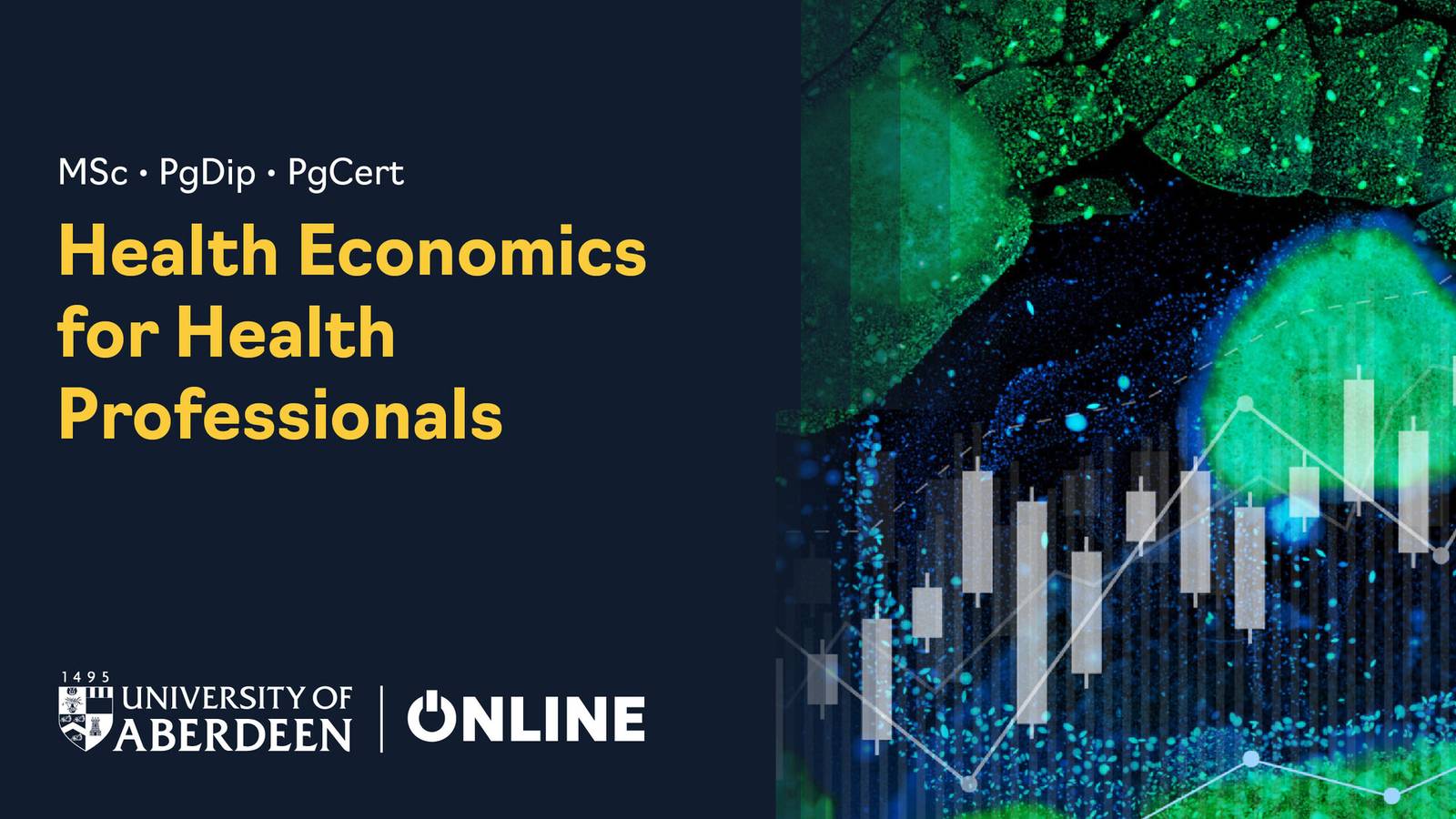 Online Health Economics Degree - Online MSc | University of Aberdeen | UK