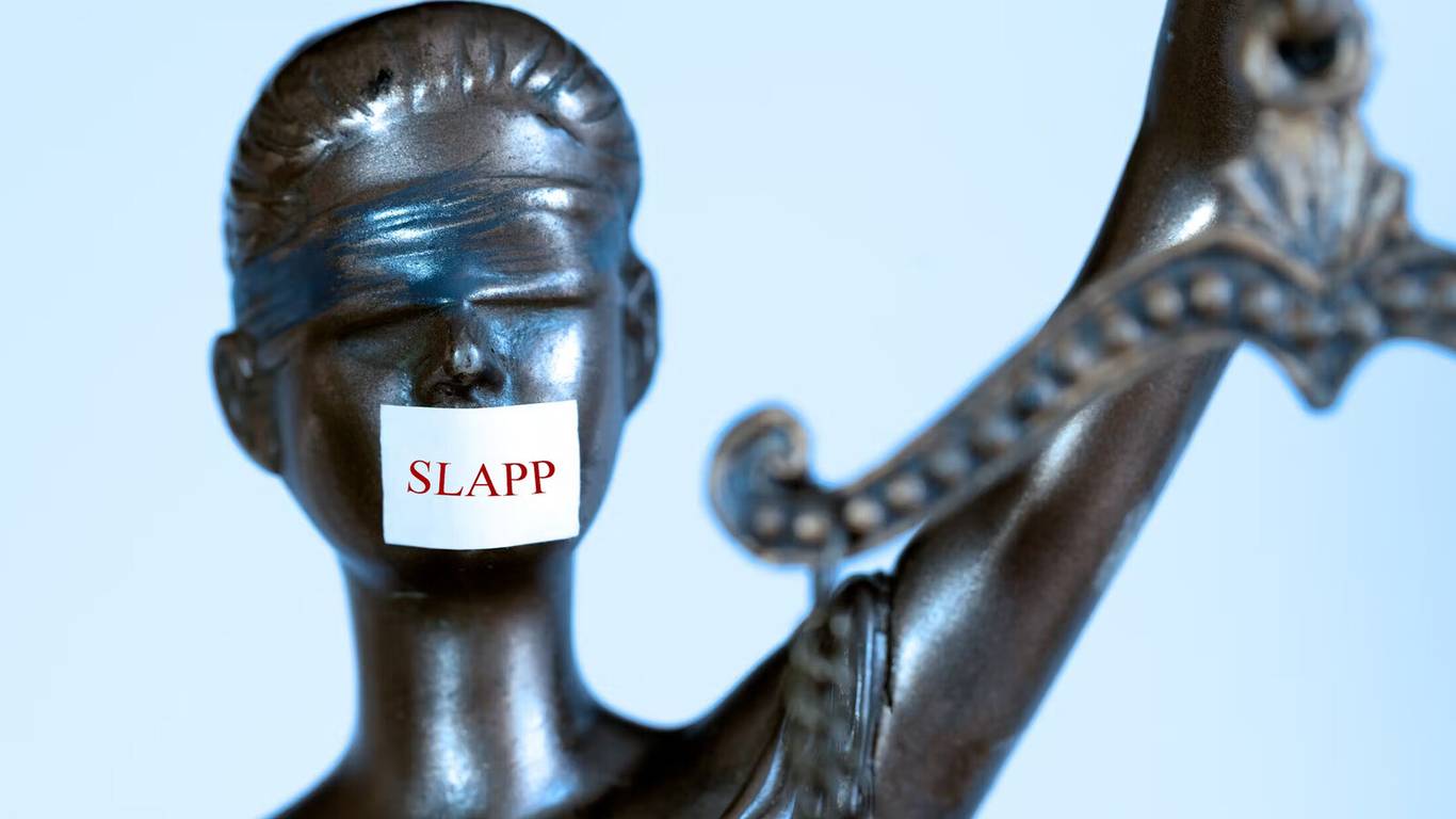 Anti-SLAPP Law - Online Short Course - Study SLAPPS and Anti SLAPP Law